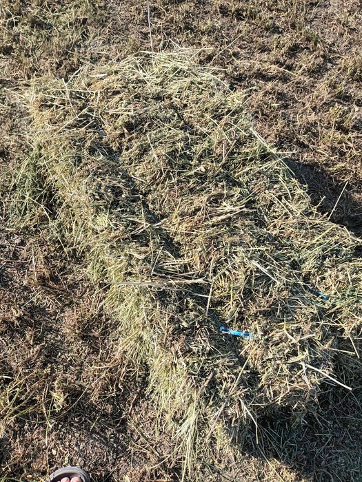 Baloti lucerna rotunzi min.40.drept500.sau fan.La TIR"RO UE Marasesti ...