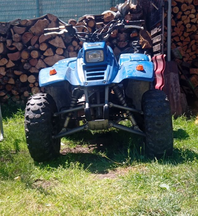 Kawasaki de 300 2x4 Alesd • OLX.ro