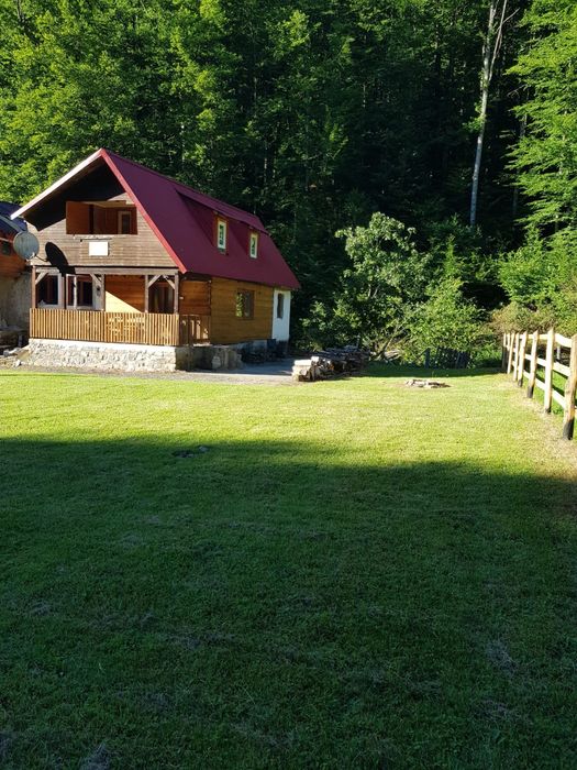 Proprietate cabana de vacanta Madrigesti • OLX.ro