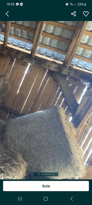 Baloti de vanzare Rupea • OLX.ro