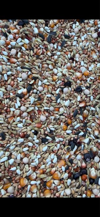 Minerale si amestec porumbei Gheboaia • OLX.ro