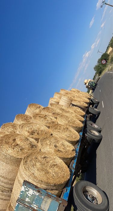 Baloti orz, grau, lolium, baloti semifan lucerna, borceag sau lolium ...