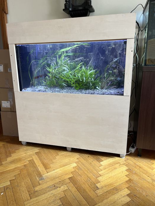 Acvariu cu mobila Brasov • OLX.ro