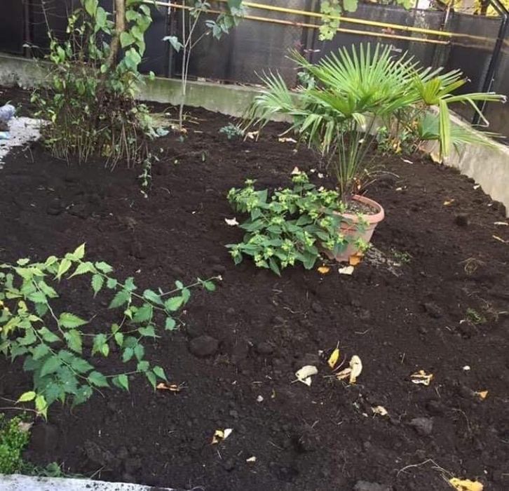 Pamant negru special pentru gazon / plante /mranita /gradina Craiova ...