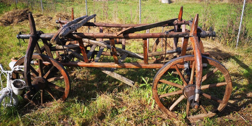 Boloboc lemn 60 cm Dosu Bricii • OLX.ro