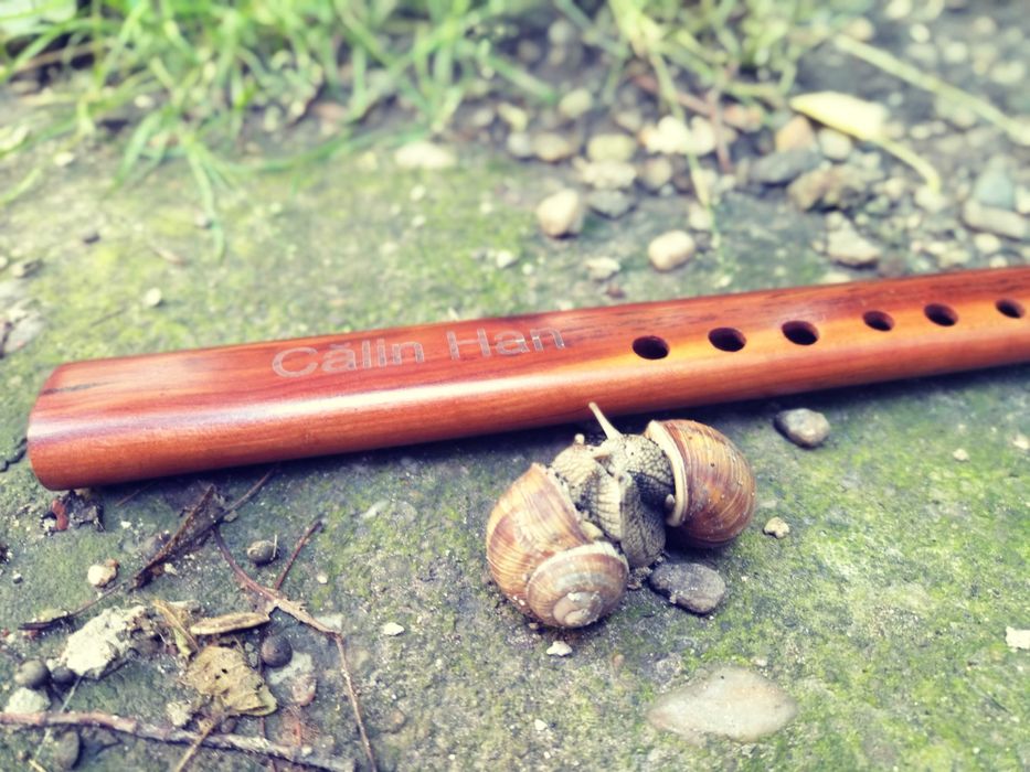 Predau ore de fluier, caval, cimpoi, ocarină, tilinca Sibiu • OLX.ro