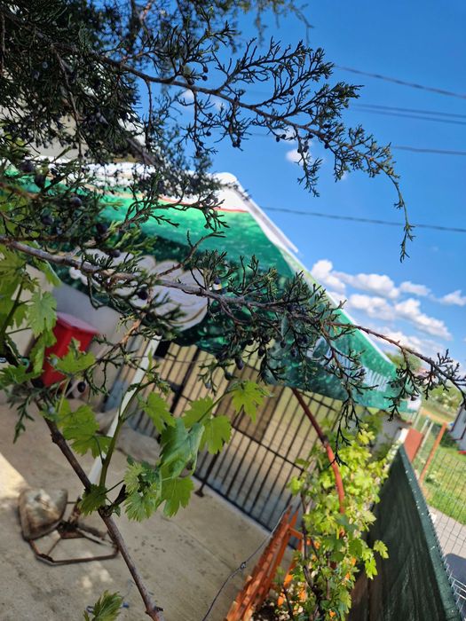 Prelata impermeabila umbrela terasa curte 3.5 x 3,5 m (350 x 350 cm) Alexandria • OLX.ro