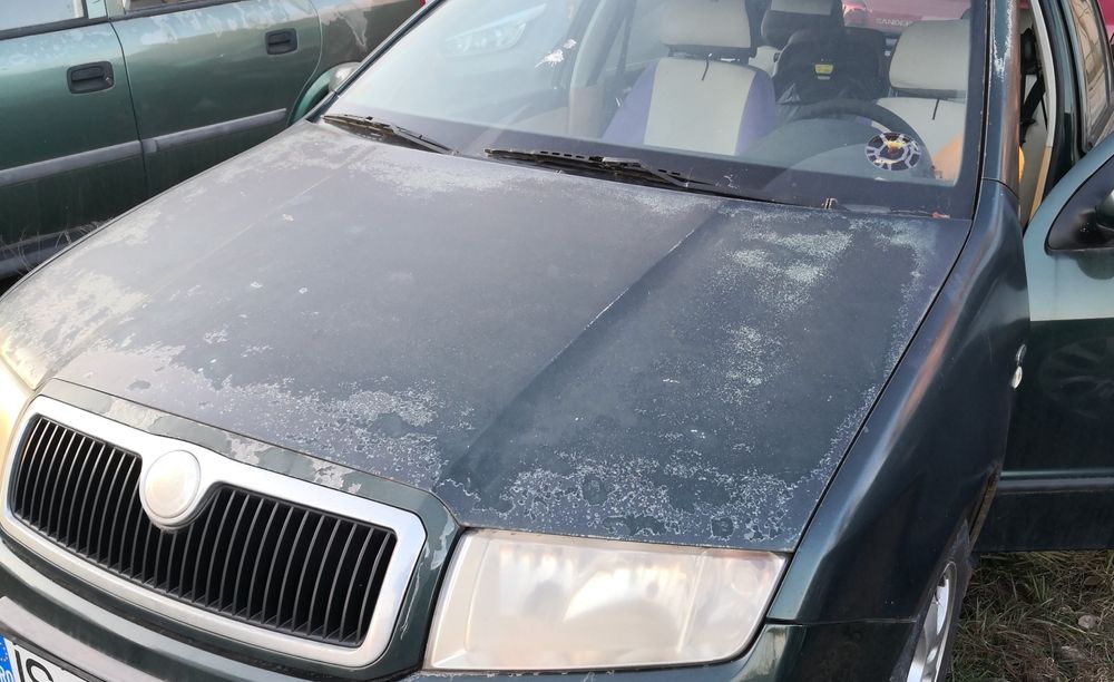 Tichet Rabla 2025 Iasi • OLX.ro