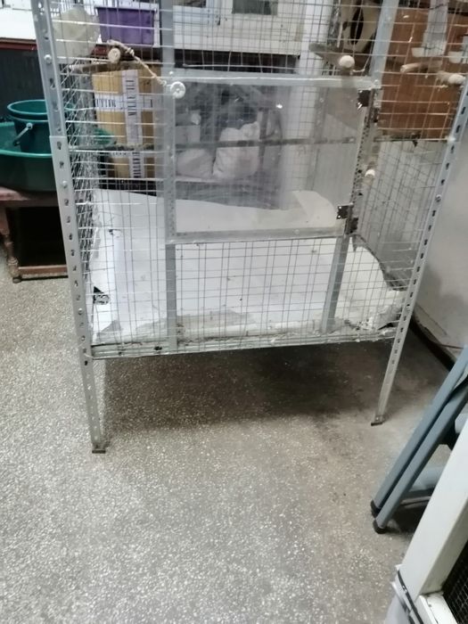 Cusca Voliera Colivie Mare Dubla Mare Papagali, pasari exotice Balciu ...