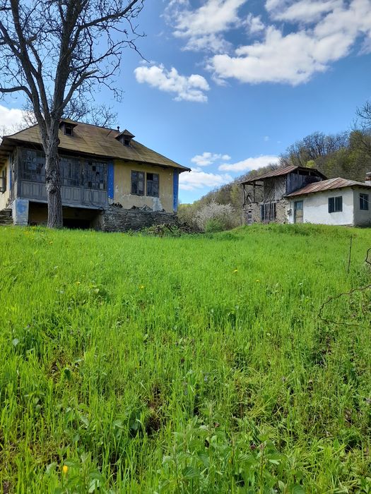 Casa bătrânească cu 5000 m² intravilan Aricestii Zeletin • OLX.ro
