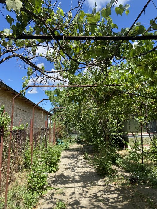 Teren + Casa batraneasca la lac ! Peris • OLX.ro