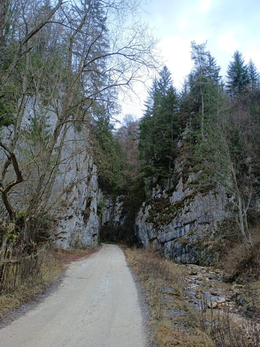 Teren la munte Ciocanu-Pestera-Bran Podu Dambovitei • OLX.ro