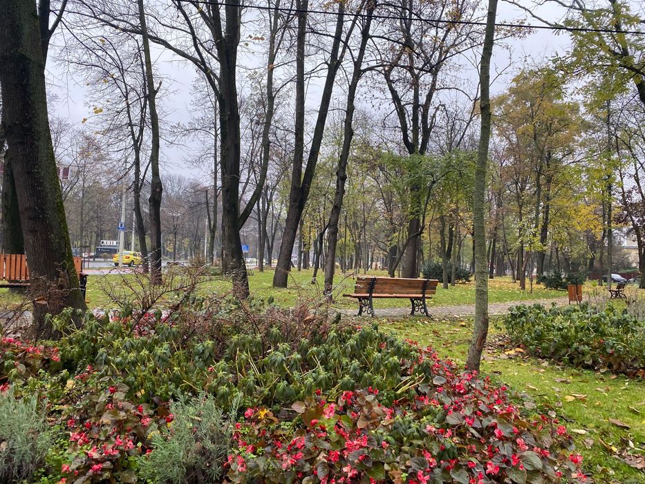 LUX! Copou - PARC, la bulevard, terasa 100 cu vedere la parc Iasi • OLX.ro