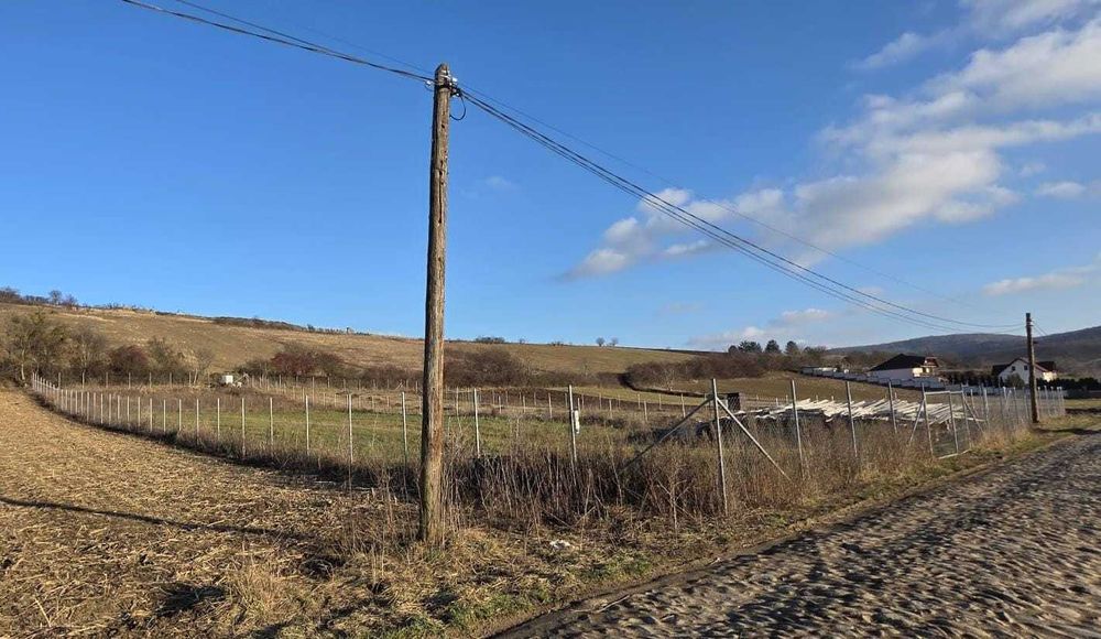 Teren 2000 mp intravilan Hamba | Material cabană/casă | apa si curent ...