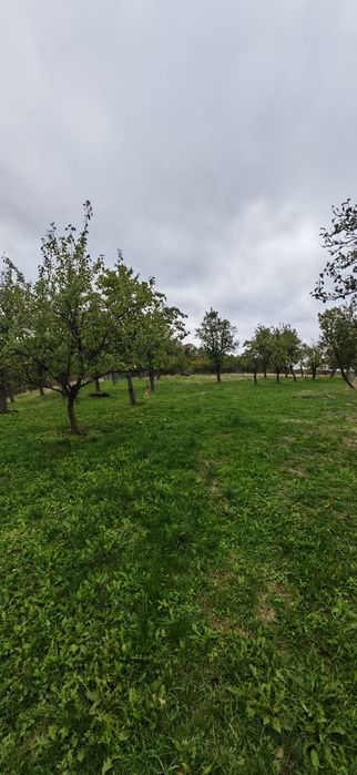 Vând doua terenuri comuna Cuca Jud Arges Pitesti • OLX.ro