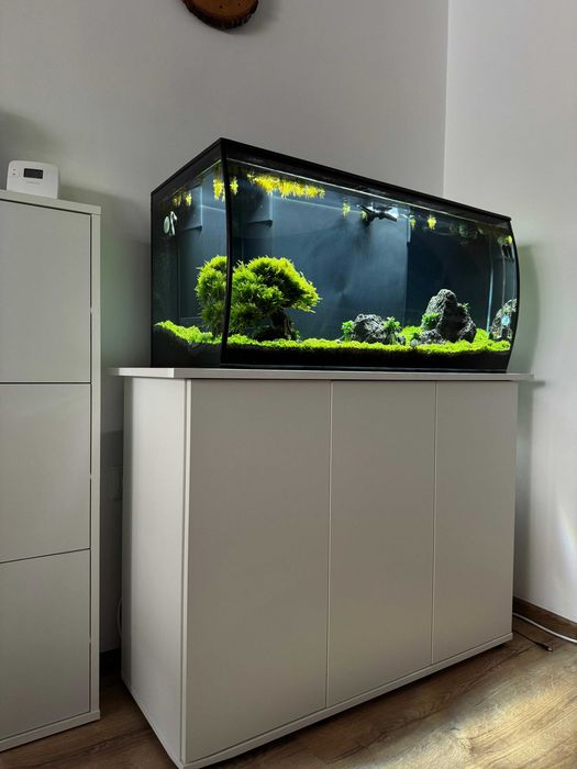 Acvariu stil Iwagumi, high tech, complet echipat + Stand si BONUSURI Sibiu • OLX.ro