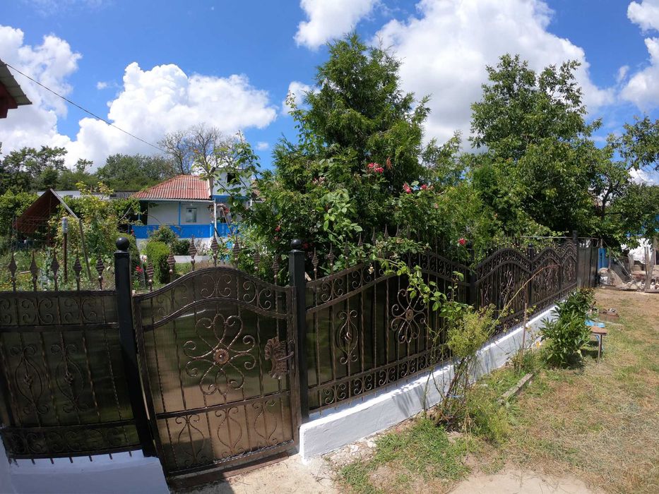 Proprietate unica langa Iasi (casa cu beci, livada,vie,iaz) Tacuta • OLX.ro