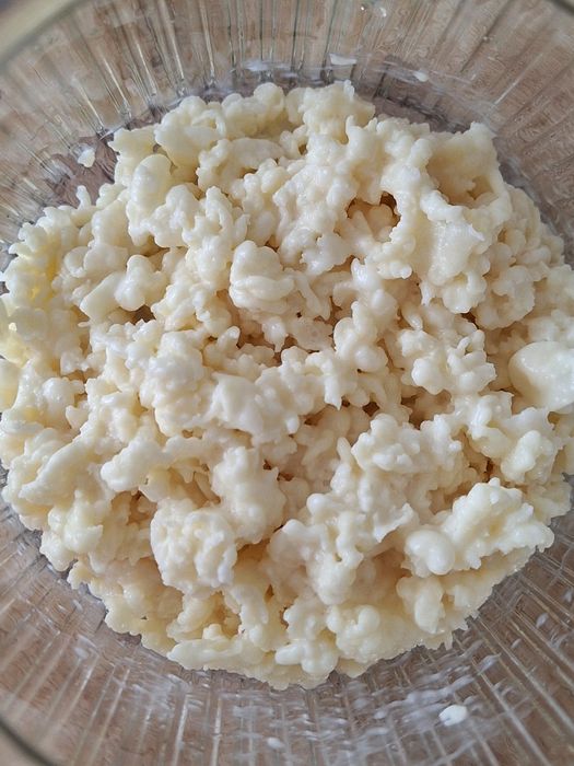 ciuperca kefir de vanzare ' Anunturi ' OLX.ro