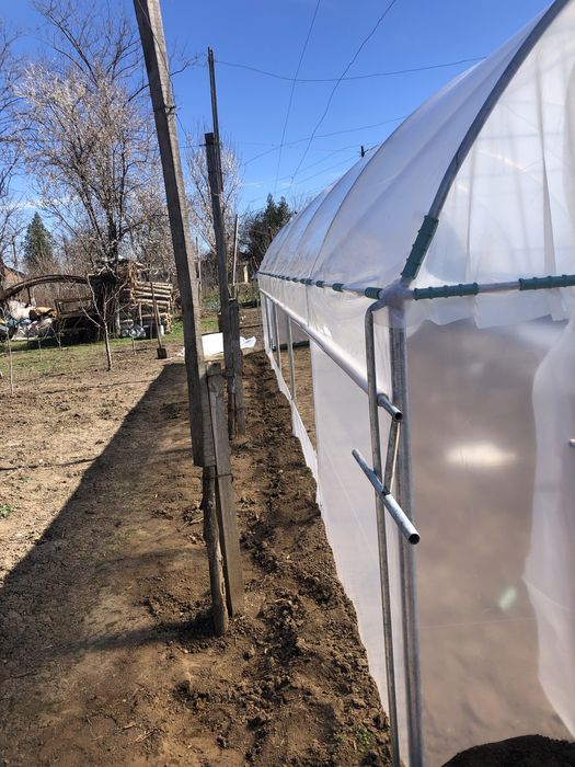 Vindem Solarii legume si flori Targu-Mures • OLX.ro