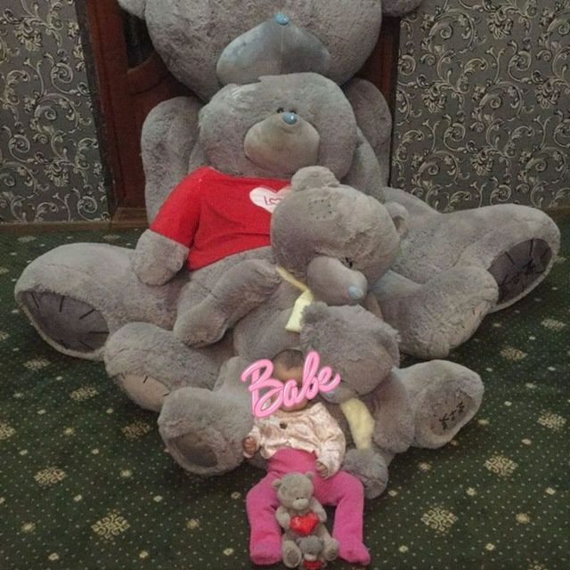 Teddi Teddiy orginallari arzon narxlarda: 160 000 сум - Подарки Ташкент ...