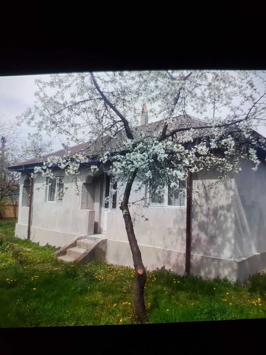Vand casa cu teren 1100 m.p.Colceag Prahova langa A 7 Mizil • OLX.ro