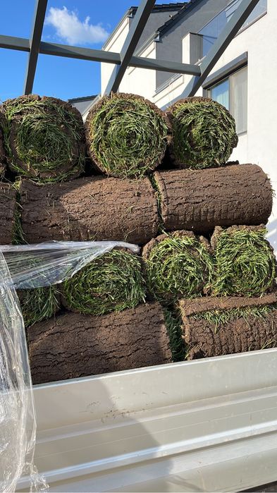 Livram rulouri de gazon la domiciliu, gazon rulouri, role de gazon ...