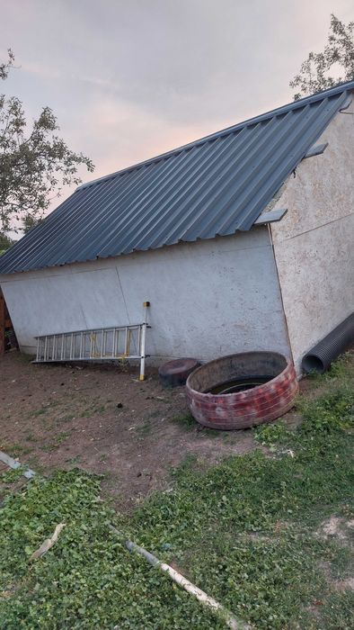 Tabla acoperis 50 lei coala Baia de Fier • OLX.ro