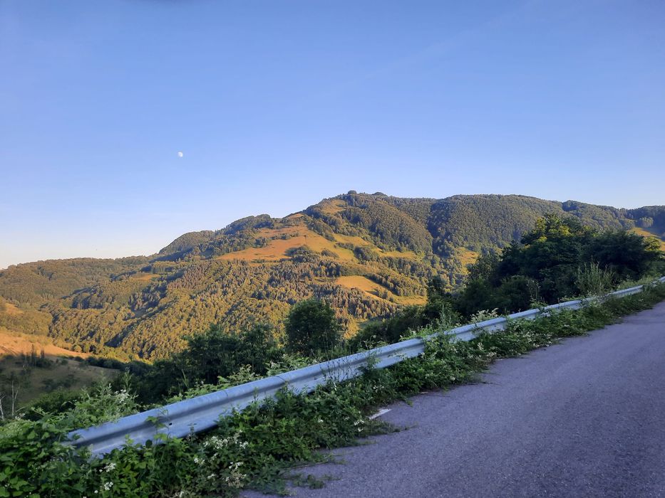 Căsuța din lemn și sura de vânzare Grohotele • OLX.ro
