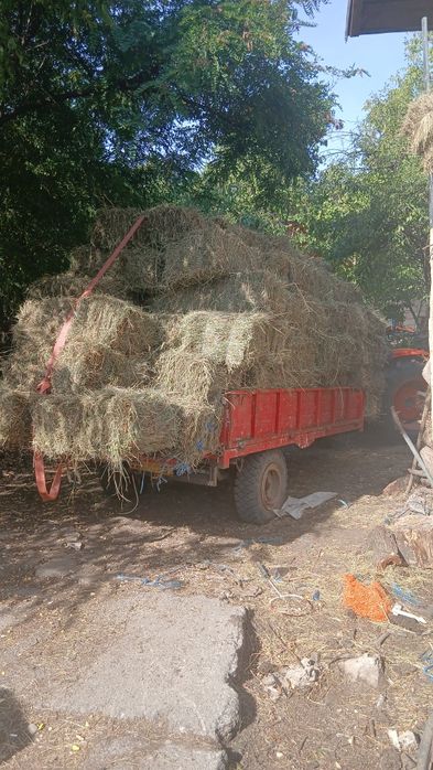 Baloti fân, iarbă calitate superioară Starchiojd • OLX.ro