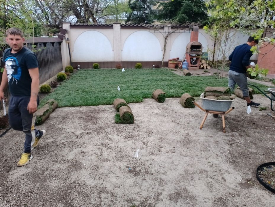 Sistem irigații gazon și gazon rulou sau însămânțare Dorobant • OLX.ro