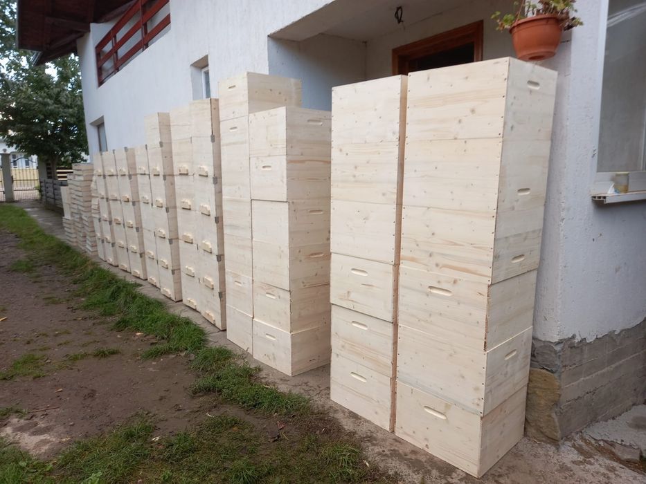 Stupi albine, stupi verticali, stupi orizontali, roinite! Botosani • OLX.ro