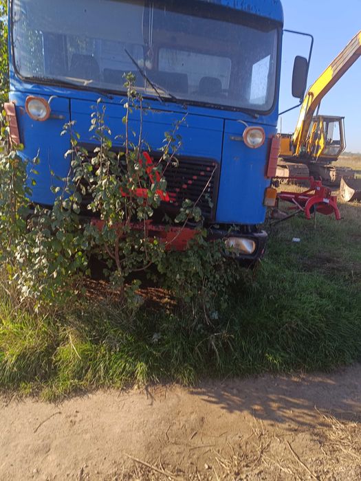 Raba tip Irak de vanzare Reviga • OLX.ro