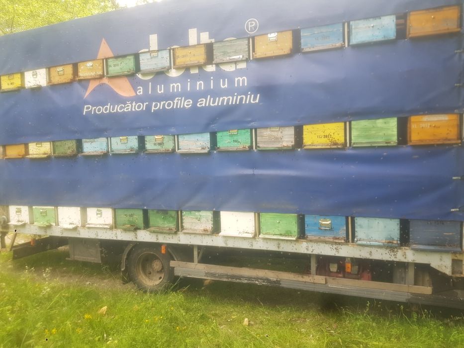 Stupină de vanzare Lalosu • OLX.ro