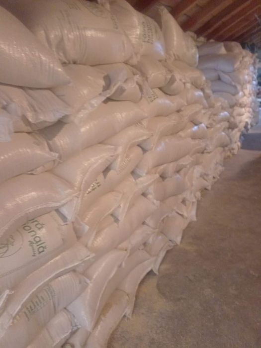 Vindem furaj din 6 tipuri de cereale Ardud • OLX.ro