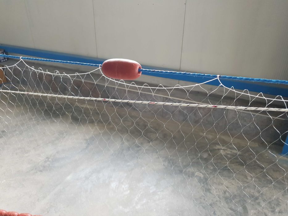 Plase pescuit tip setca /ava - oblete Suhaia • OLX.ro