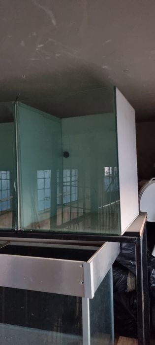 Vand rastel acvariu acvariu 300L plus acvarii CUB pentru reproducere Runcu • OLX.ro