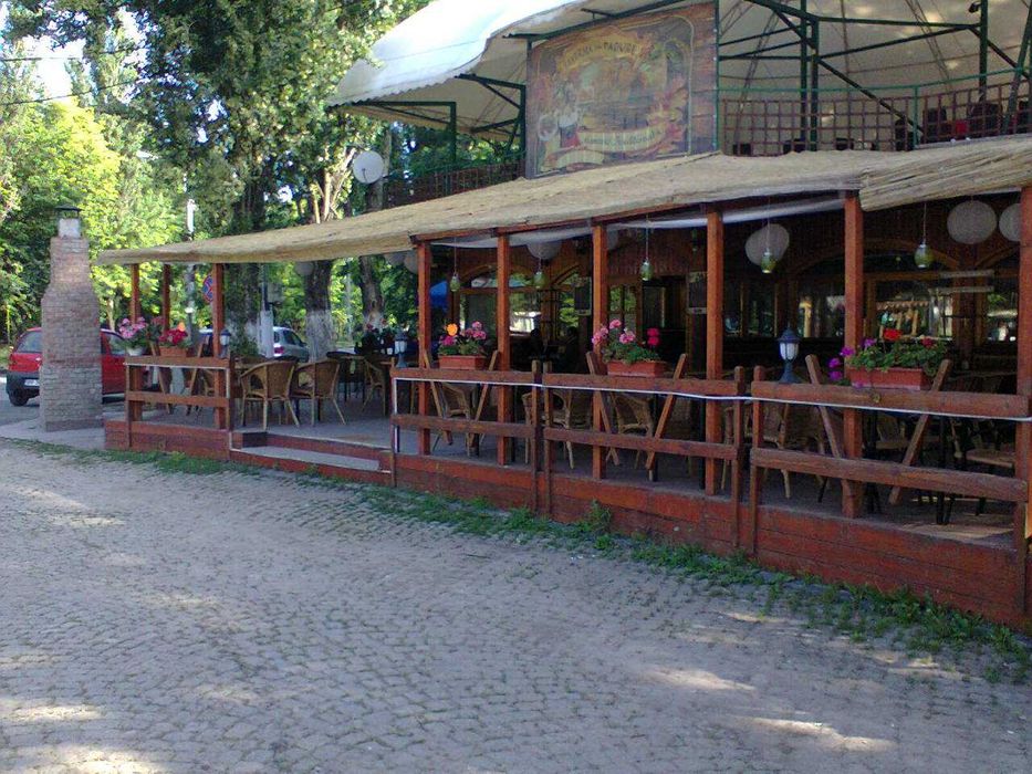 Rogojini din stuf /gard paravan trestie Bors • OLX.ro