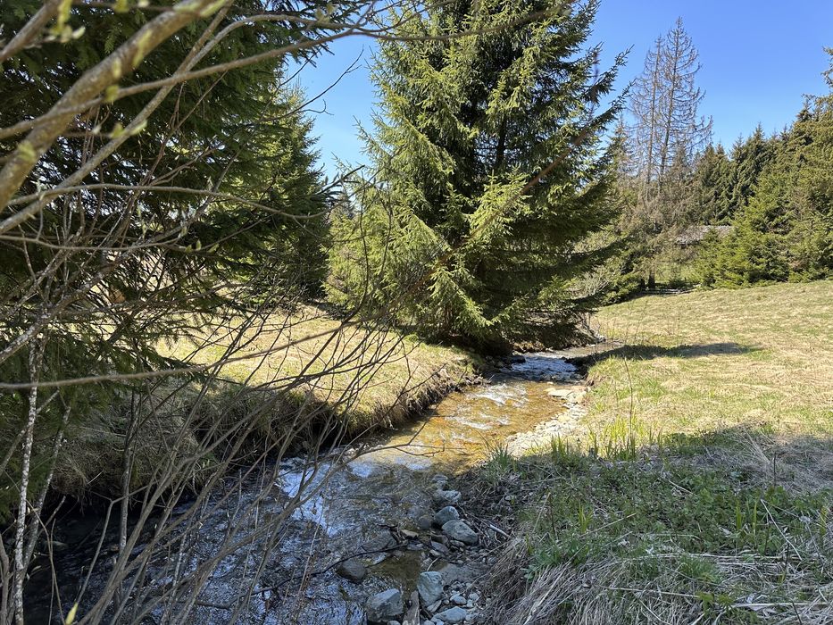 Teren in Fundata - Fundatica (Valea Cheii) Brasov • OLX.ro