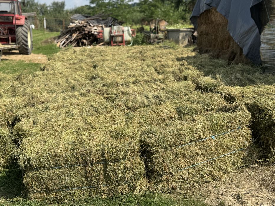 Baloti lucerna si fan prima coasa si a doua Tibeni • OLX.ro