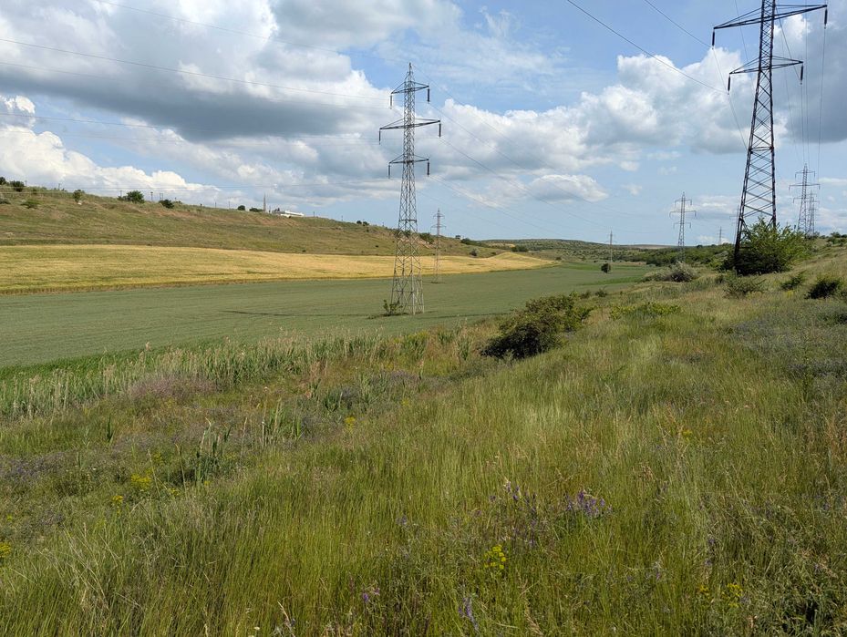 Teren extravilan 3.00 Ha langa Gara de marfuri - Tulcea Tulcea • OLX.ro