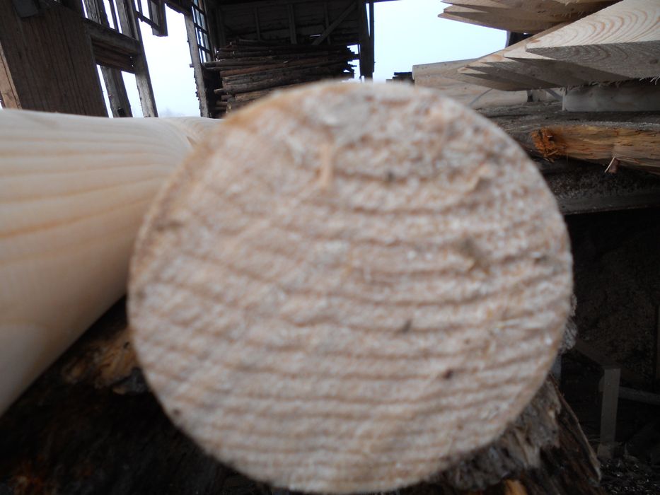 Lemn calbrat rotund fara miez Toplita • OLX.ro