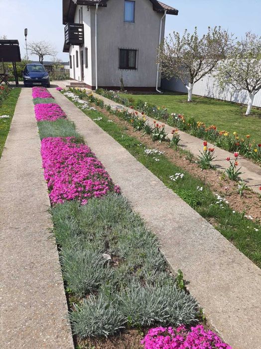 Casă de vânzare, Gruiu, Ilfov, + teren intravilan 3500 mp Gruiu • OLX.ro