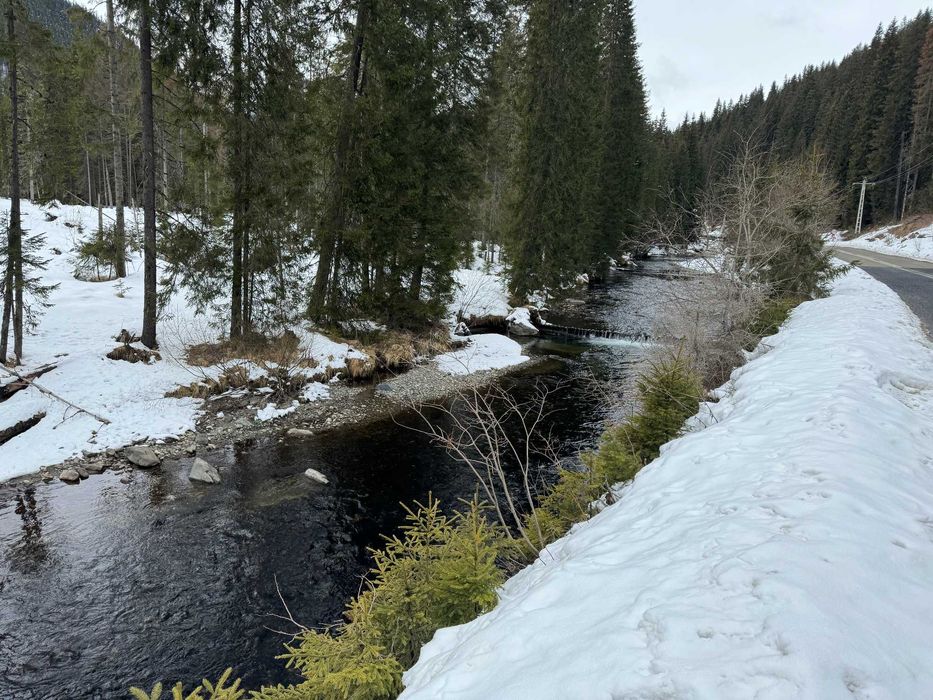 Teren cu deschidere la raul Lotru in Obarsia Lotrului Transalpina ...