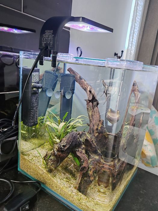 Acvariu Nano Aquael 20 litri Bistrita • OLX.ro