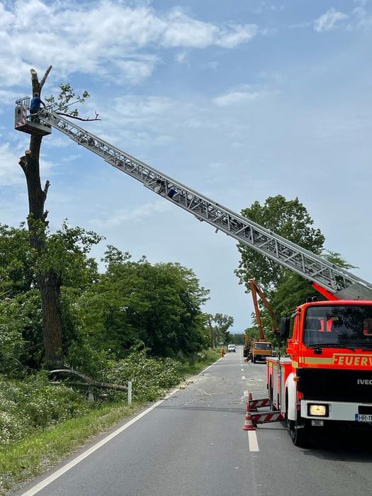 Toaletari și tăieri arbori / copaci periculoși cu Nacela 35m Craiova ...