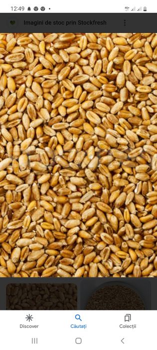 Vând porumb, grâu, orz floarea soarelui uruiala malai furajer tarate ...