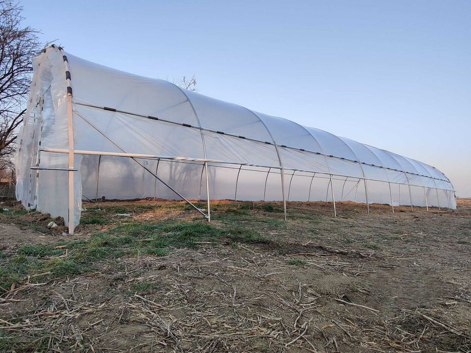 Solar legume profesional, complet echipat. Sera gradina. Alexandria ...