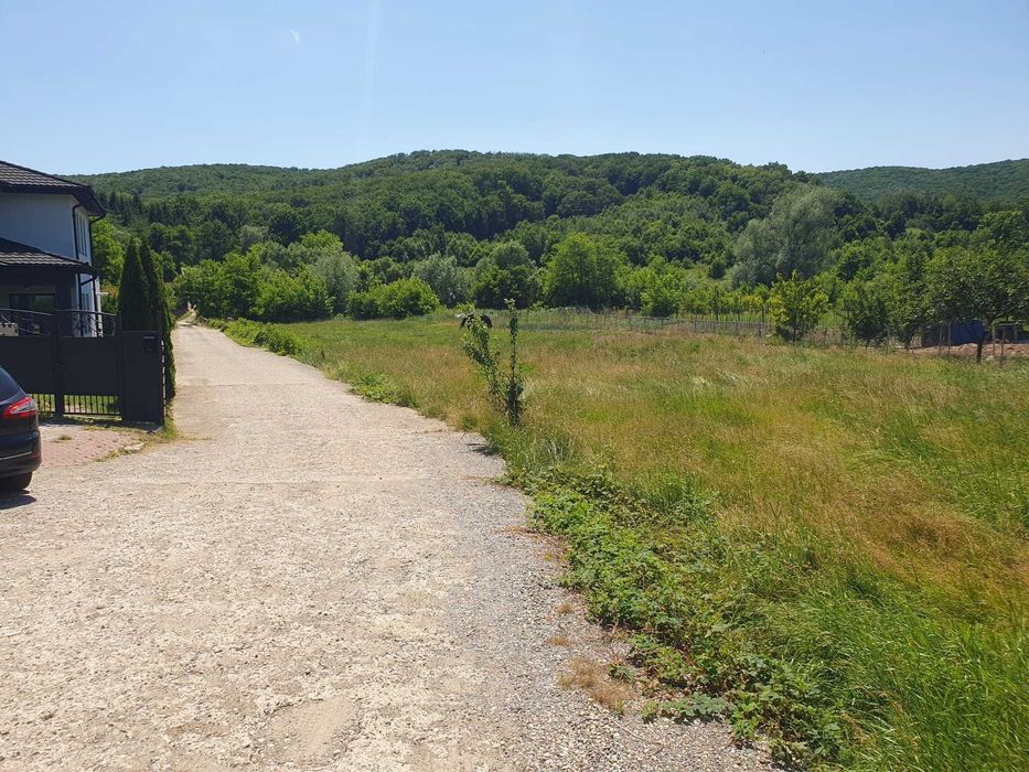 Teren Luncani, jud. Bacau, intravilan, 2286 mp, toate utilitatile Bacau ...