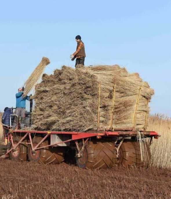 736 Hectare, 2000 mp cladiri, ferma stuf, piscicola, turism, agricola ...