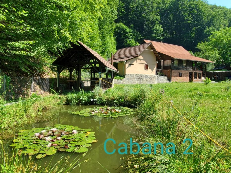 Cabane de inchiriat la Firiza, Maramures Valea Neagra • OLX.ro